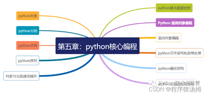 神仙级python入门教程(非常详细)，从0到精通，从看这篇开始！_fiftyone入门到精通-CSDN博客