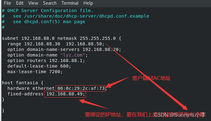 DHCP服务搭建(Linux环境)_linux配置dhcp服务器-CSDN博客