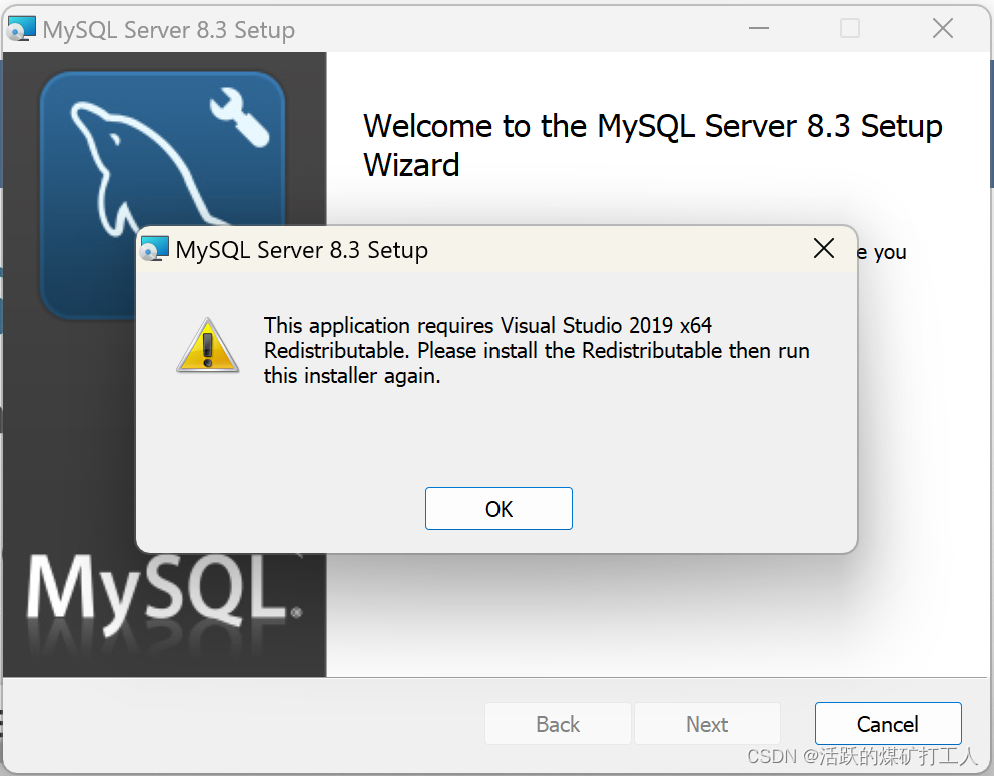 【星海出品】windows下的mysql安装_visual studio 2019 x64 redistributable-CSDN博客