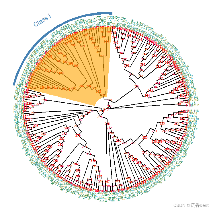 《使用R包ggtree进行进化树的绘制与美化》-CSDN博客