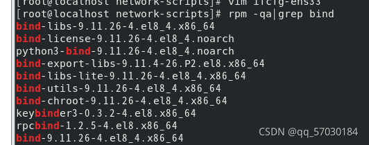 linux centos 8 DNS服务器配置_centos8 dns-CSDN博客