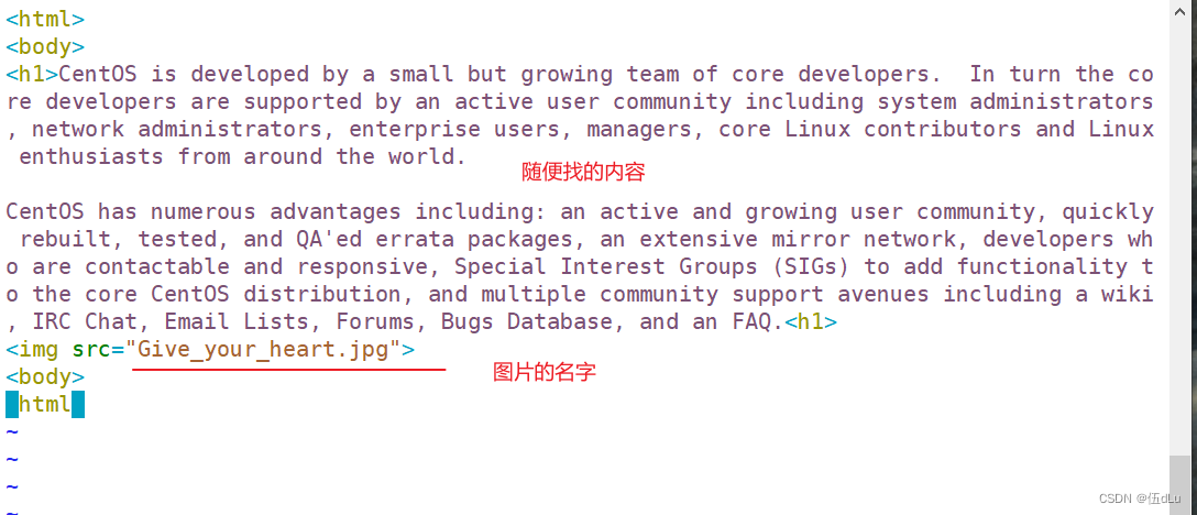 优化与安全：Nginx配置指南-CSDN博客