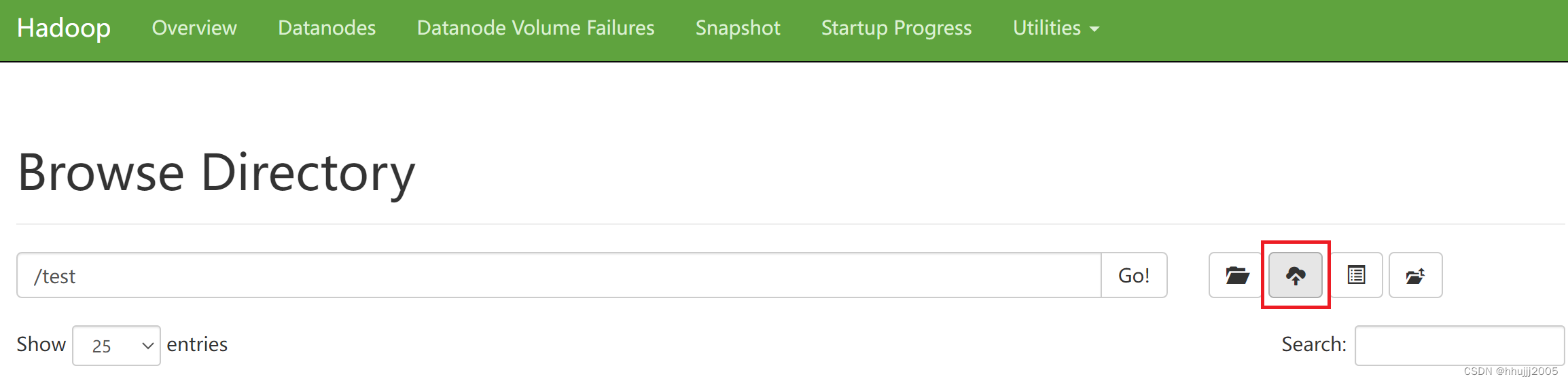 Hadoop HDFS基本操作之Web UI操作（Linux Centos ）_怎么配置hdfs的web-CSDN博客