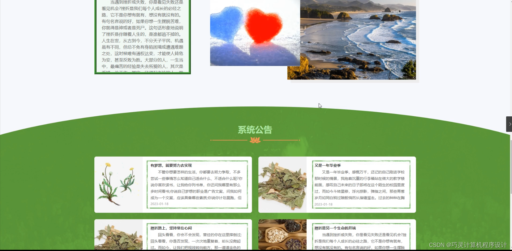 Pythonflask计算机毕业设计大参林药品信息管理系统的设计与实现(程序开题论文) Csdn博客
