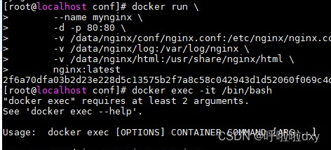 Docker安装Nginx_docker nginx -t-CSDN博客