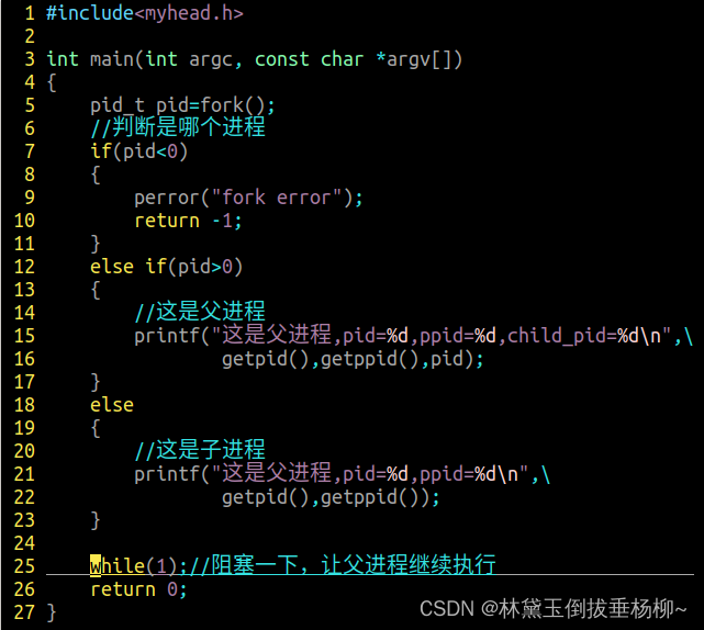 IO-day5-进程、线程-CSDN博客