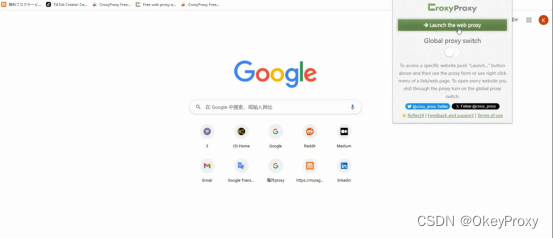 海外 proxy代理Croxyproxy使用教程-CSDN博客