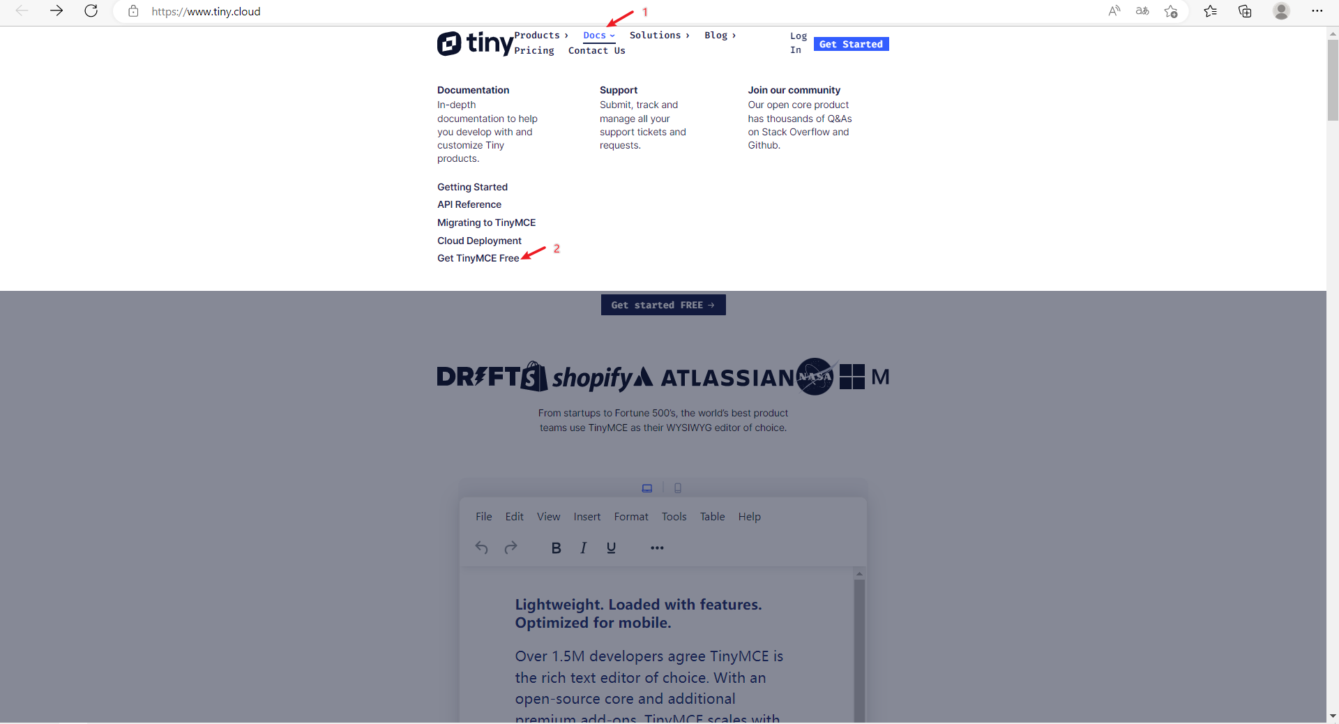 在 Nuxt 中使用 tinymce 富文本编辑器_nuxt tinymce-CSDN博客