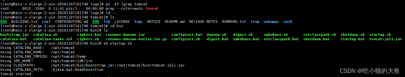 【Tomcat】Linux下安装帆软（fineReport）服务器 Tomcat_帆软linux部署-CSDN博客