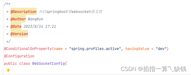 java.lang.IllegalStateException: Failed to register @ServerEndpoint class: class_spring集成 ...