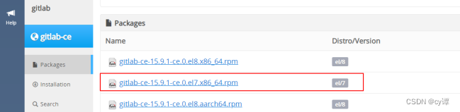DevOps平台之GitLab离线安装【一】_validation failed: password must not contain commo-CSDN博客