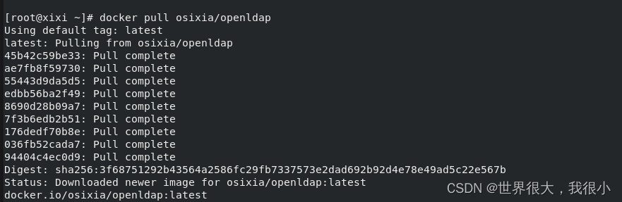 docker部署ldap(从docker安装到ldap创建用户)_docker ldap-CSDN博客