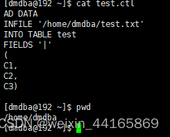 DMFLDR实战_dmfldr控制文件-CSDN博客