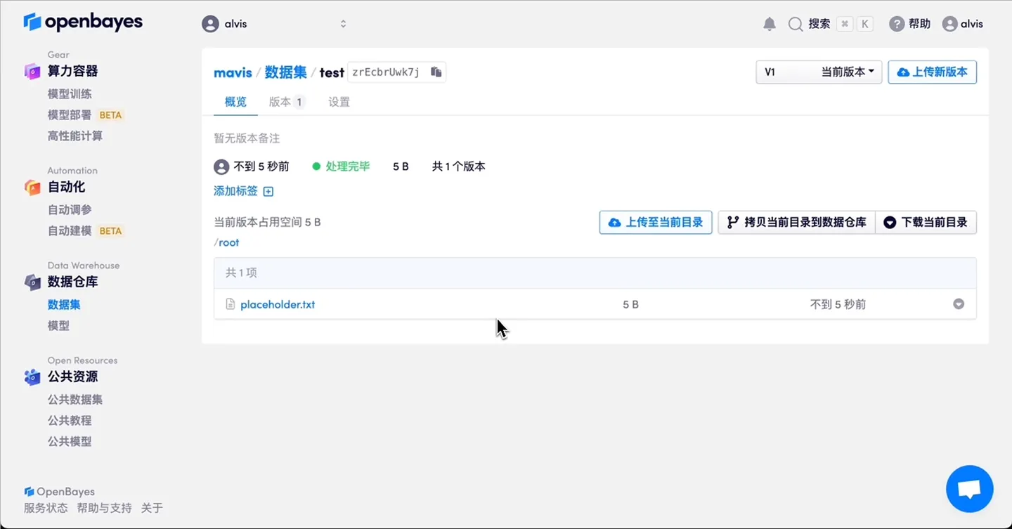 【OpenBayes 官方教程】读写绑定小技巧-CSDN博客