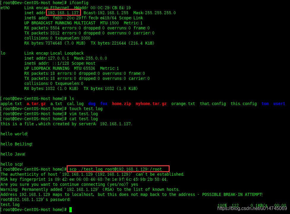 Linux进阶之路————scp指令介绍与演示_linux scp 是界面的么-CSDN博客