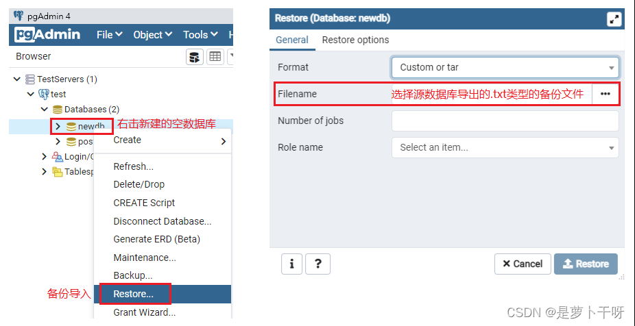 PgAdmin（PostgreSQL 数据库工具）-CSDN博客