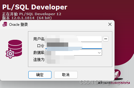 【教程】PL/SQL DEVELOPER 12（64bit） 汉化_plsql developer汉化包-CSDN博客