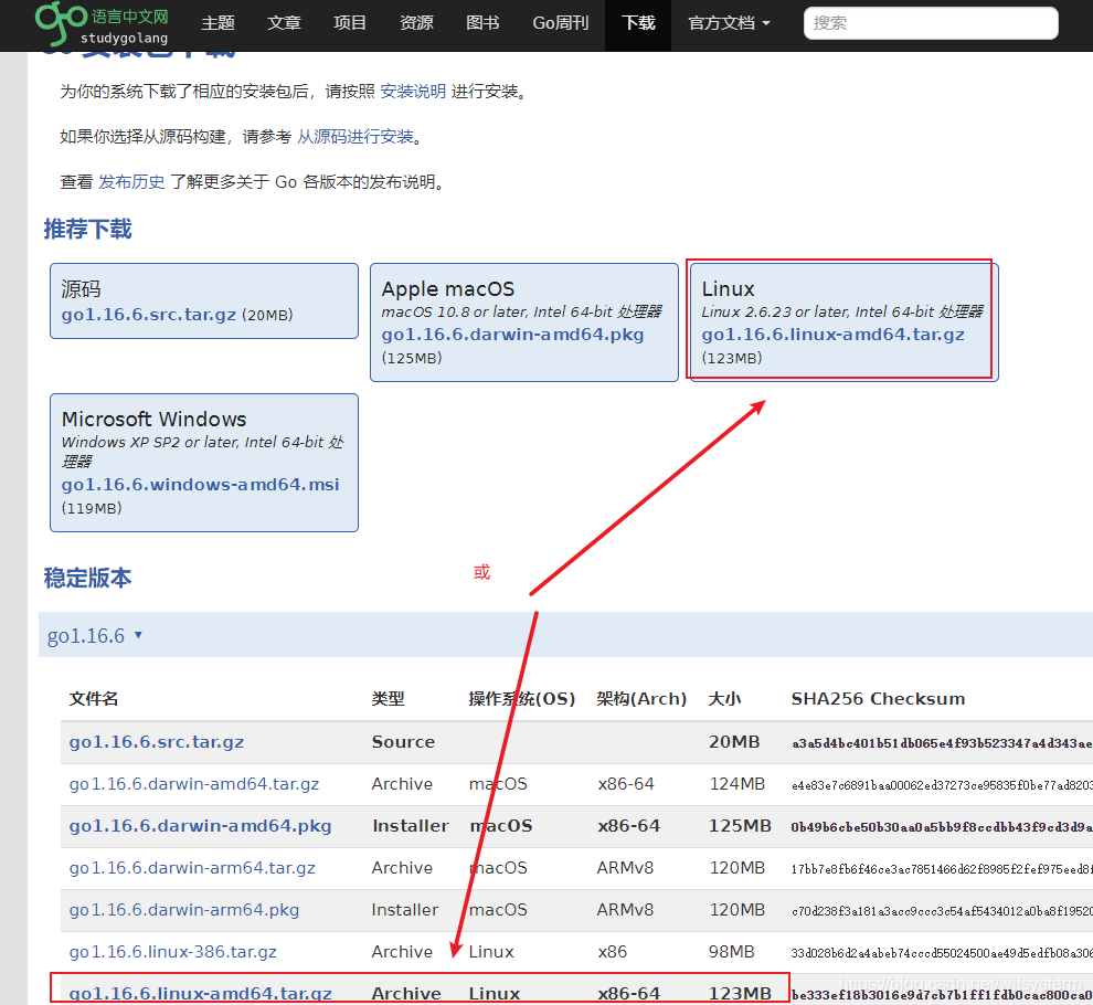 Linux下go环境安装指南 Csdn博客
