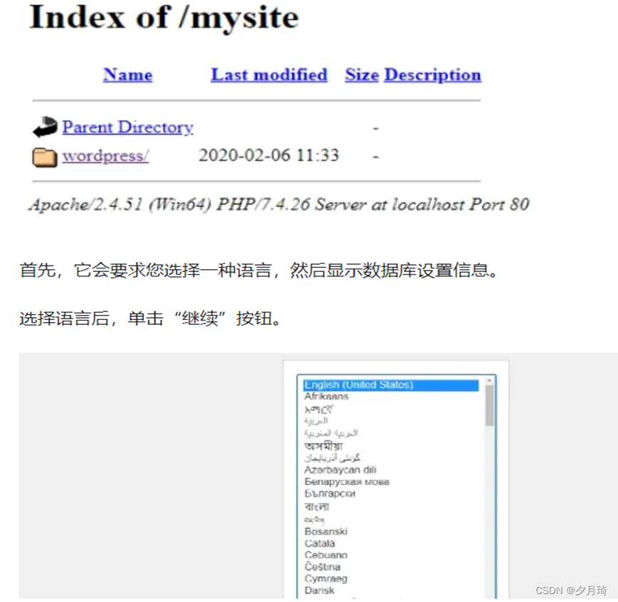 使用 WampServer 在 Windows 计算机上成功安装了 WordPress_wampserver wordpress-CSDN博客