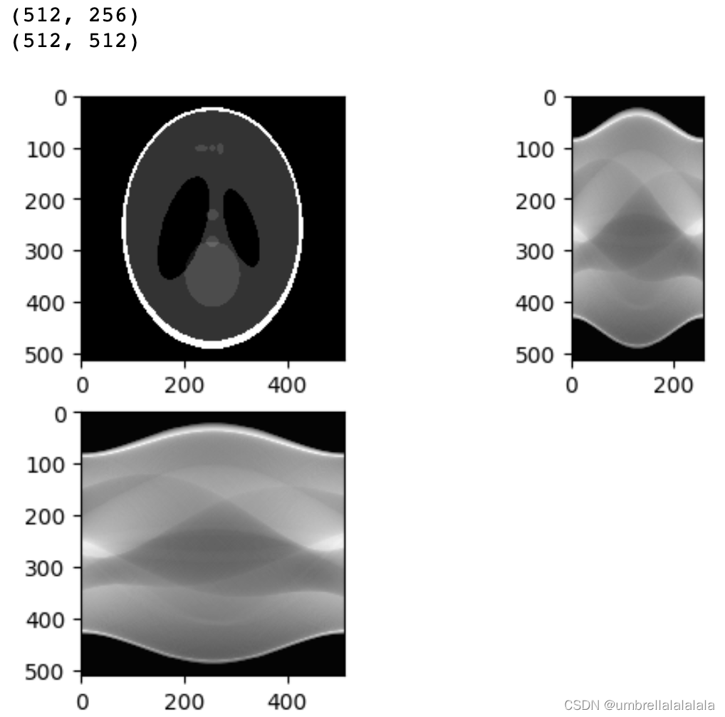 编程记录——研究一下python对shepp_logan体模数据实现radon变换_python shepp-logan phantom-CSDN博客