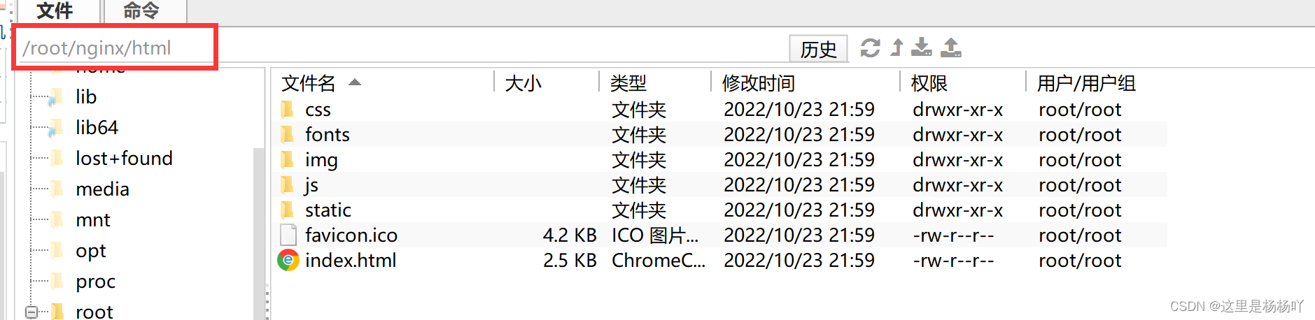 Dockernginx部署前后端分离项目springbootvue的详细教程在docker中安装nginx实现前后端分离 Csdn博客