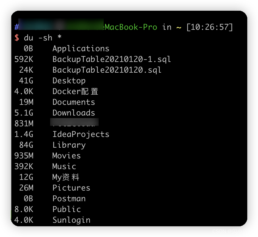 Linux 查看当前文件夹下的文件大小_linux查看当前目前大小-CSDN博客