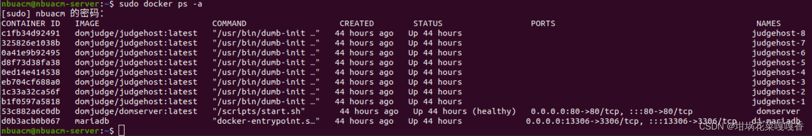 【技术文档】DOMjudge部署手册（Docker版）与ICPC-Tools配置-CSDN博客