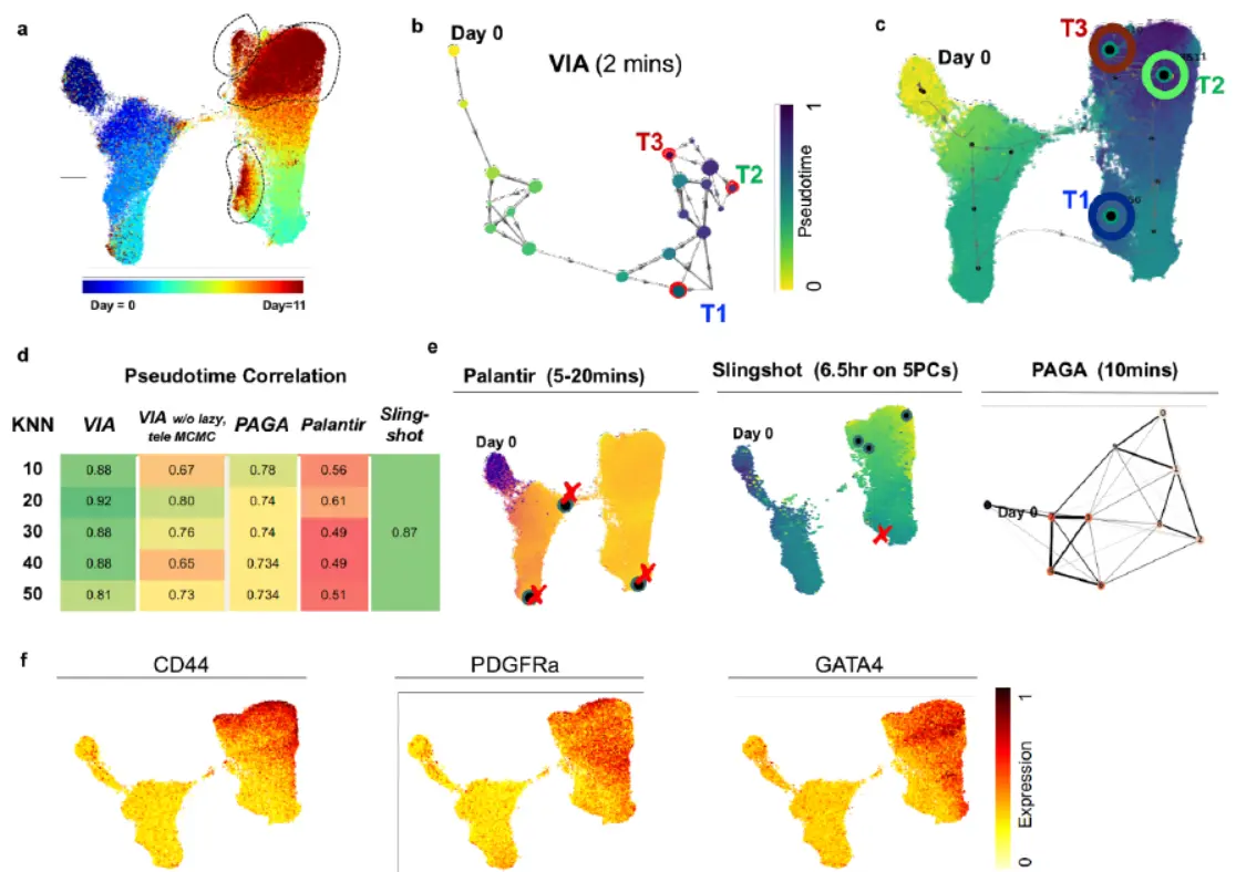 单细胞数据拟时分析之VIA（我的优势你们比不了）_pyvia-CSDN博客