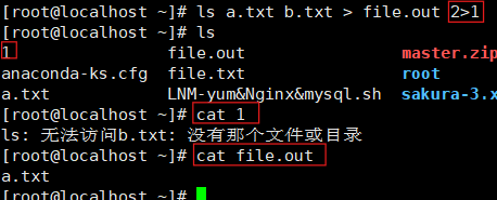 shell编程-1_shell nginx -v-CSDN博客