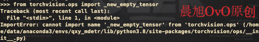 Python问题: cannot import name ‘_new_empty_tensor‘ from ‘torchvision.ops_importerror: cannot ...
