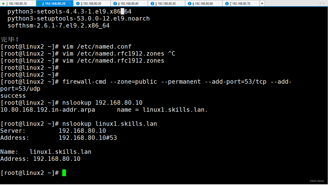 22年国赛正式题（服务）_cp -a named.localhost named.skills cp -a named.loo-CSDN博客