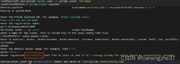 使用GitLab自带的CI/CD功能在本地部署.Net8项目（二）_gitlab net8程序自动部署-CSDN博客