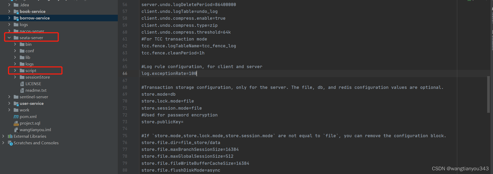 windows环境部署seata注意事项_seatsurfing部署-CSDN博客