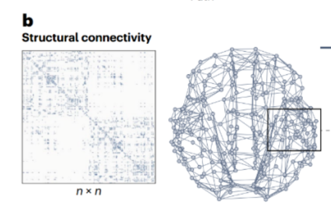 【博士每天一篇文献-综述】Brain network communication_ concepts, models and applications_brain network ...