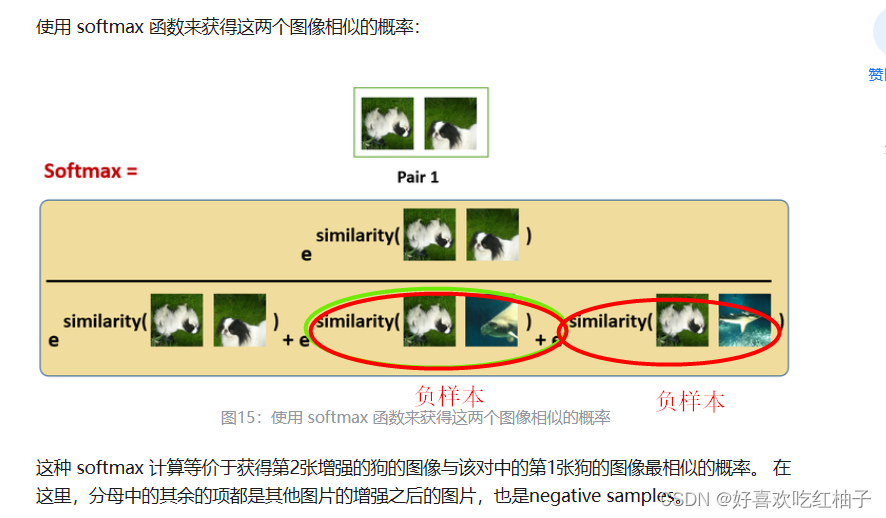 深度学习：SimCLR方法中数据增强与相似性计算-CSDN博客
