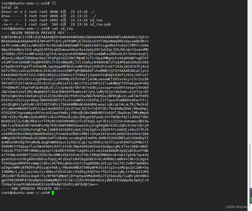 Linux ubuntu20.04 root密钥登录教程（图文教程）_wsl ubuntu20.04 xshell 密码登录-CSDN博客