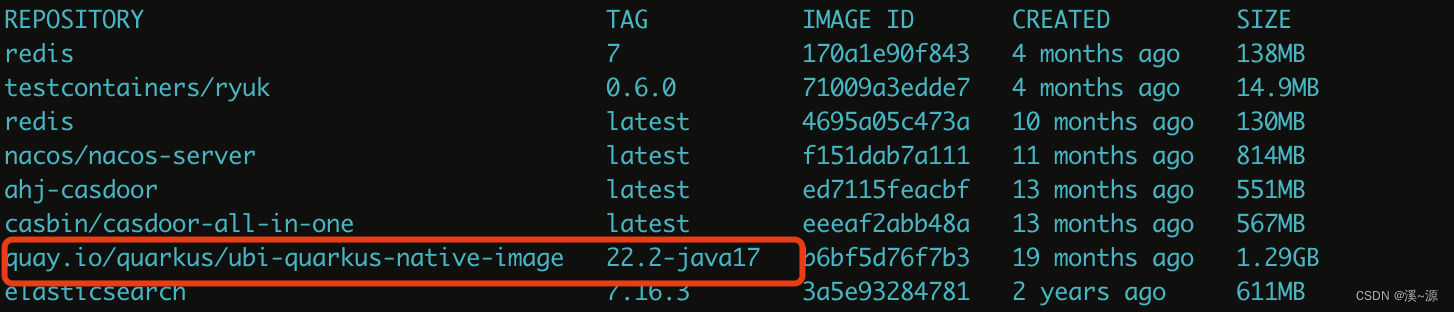 【quarkus系列】构建可执行文件native image_quarkus native-CSDN博客