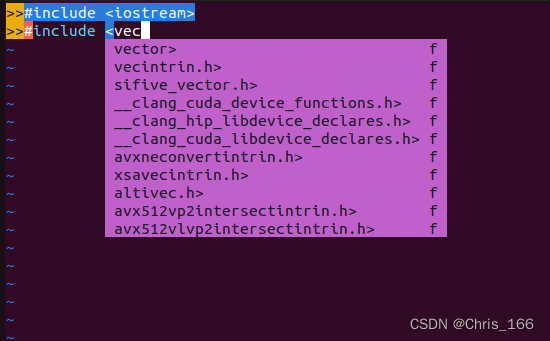Vim + YCM + clangd_vim ycm clangd-CSDN博客