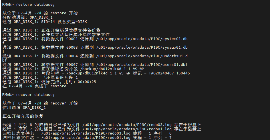 RMAN在Oracle19c环境中进行数据备份与恢复的详细步骤-CSDN博客