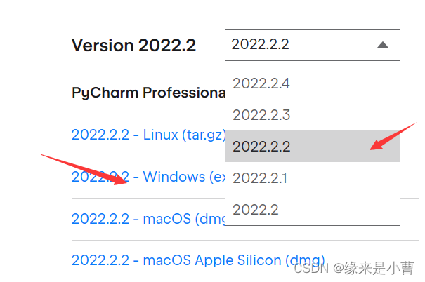 Python3.10和pycharm的安装_pycharm安装python3.10-CSDN博客