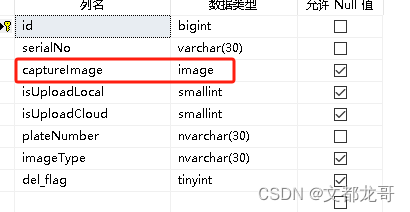 C# Sql server中的image数据转base64_sqlserver image转base64-CSDN博客