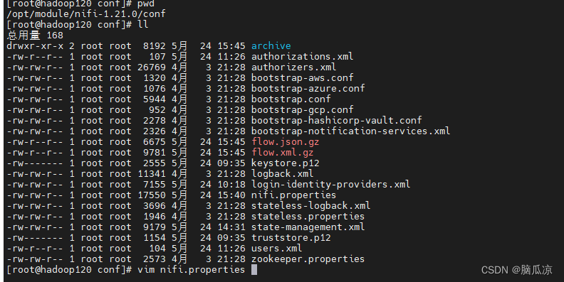 NIFI1.21.0最新版本安装_配置使用HTTP登录_默认是用HTTPS登录的_Https登录需要输入用户名密码_HTTP不需要---大数据之Nifi工作笔记0051_nifi.remote ...