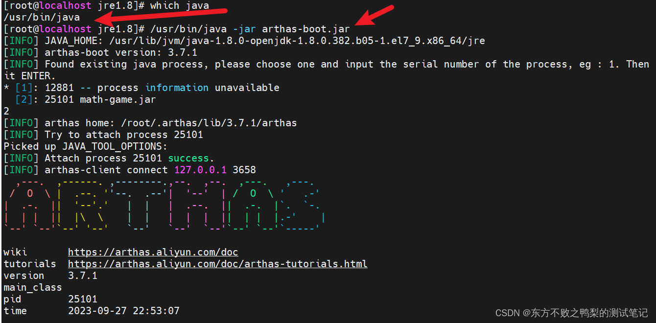 性能测试监控-java分析工具Arthas_arthas查看gc次数-CSDN博客
