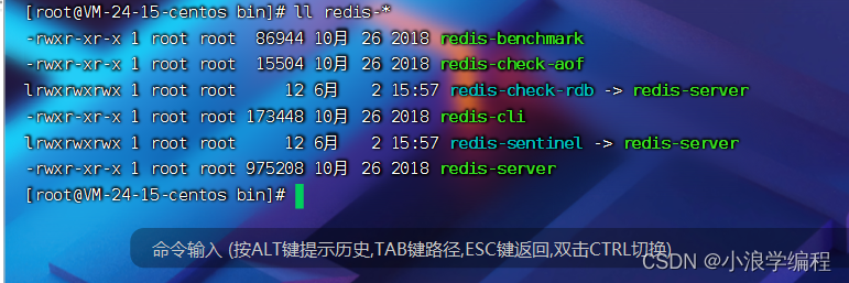 【Redis系列】在Centos7上安装Redis5.0保姆级教程！_centos7安装redis5-CSDN博客