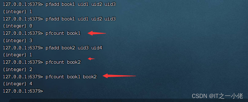 Redis数据结构HyperLogLog_python redis loglog-CSDN博客