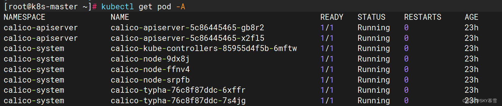 k8s-pod基本管理(namespace,pod增删查)_查看pod命令-CSDN博客