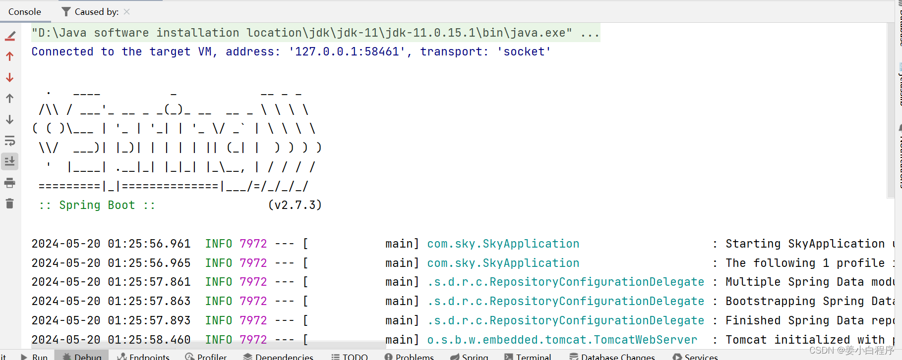 Caused by: org.springframework.context.annotation ...