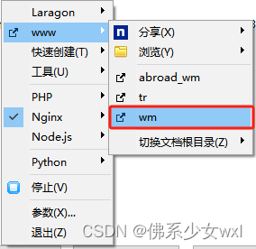 教程：Laragon下载安装到访问项目网站-CSDN博客